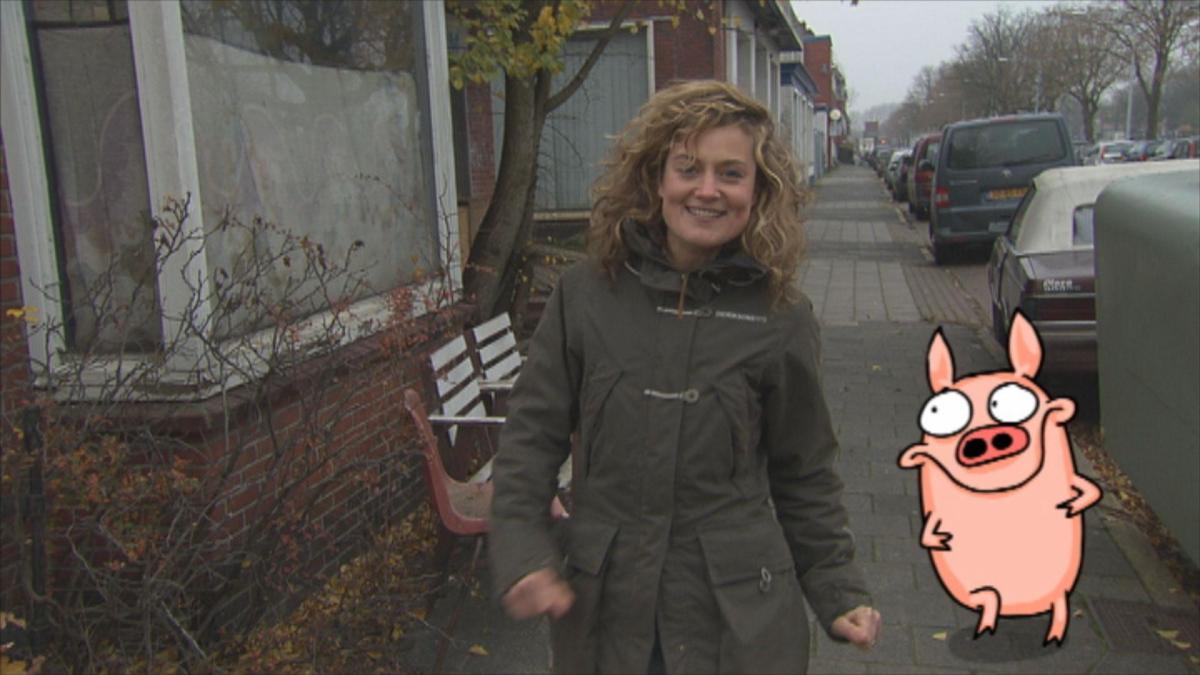 NTR | Het Klokhuis - Uitzending - Varkentje Rund